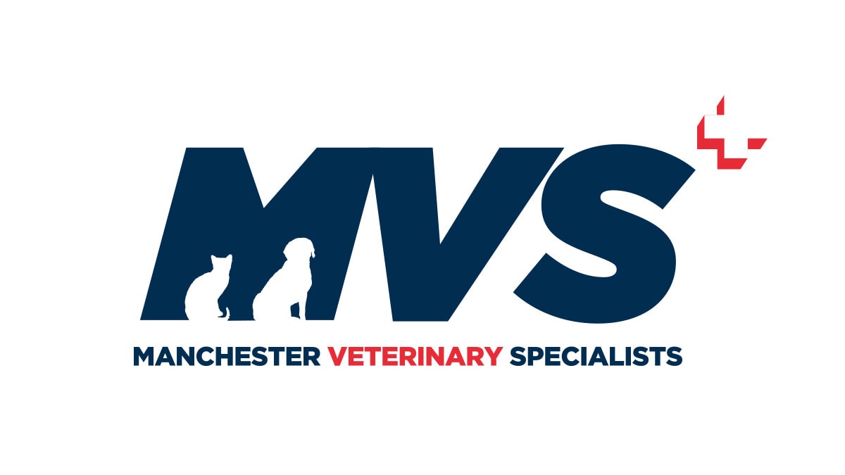 About Us | Manchester Veterinary Specialists